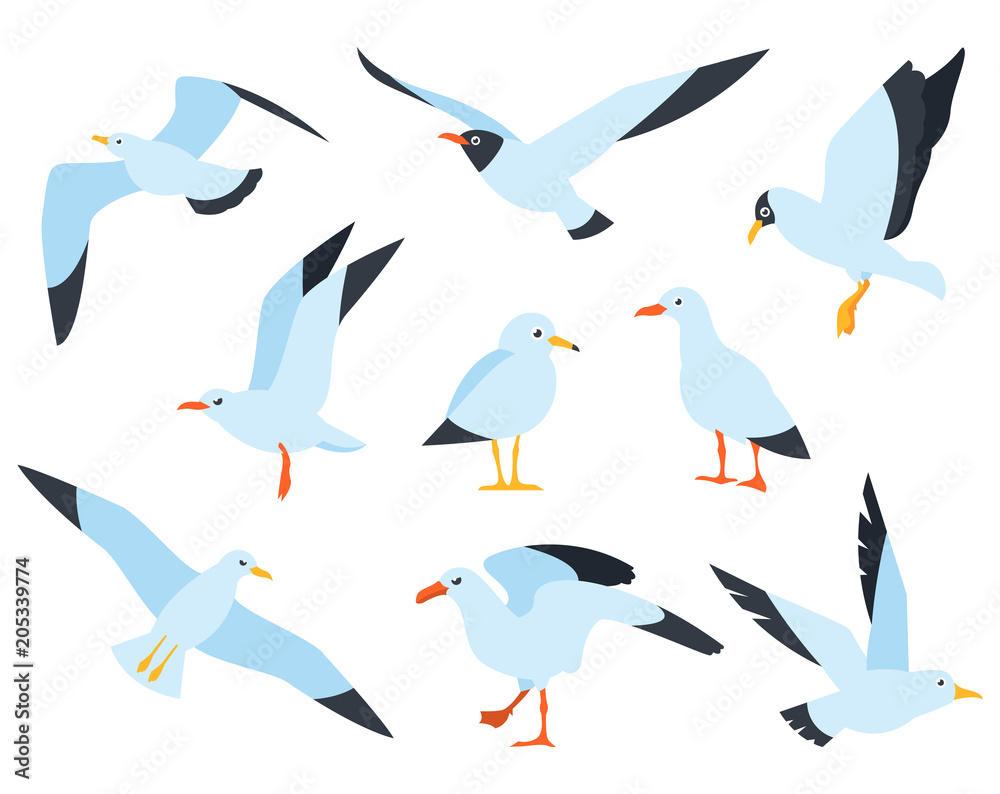Flying, on the water and standing seagulls cartoon set. Cute bird in ...