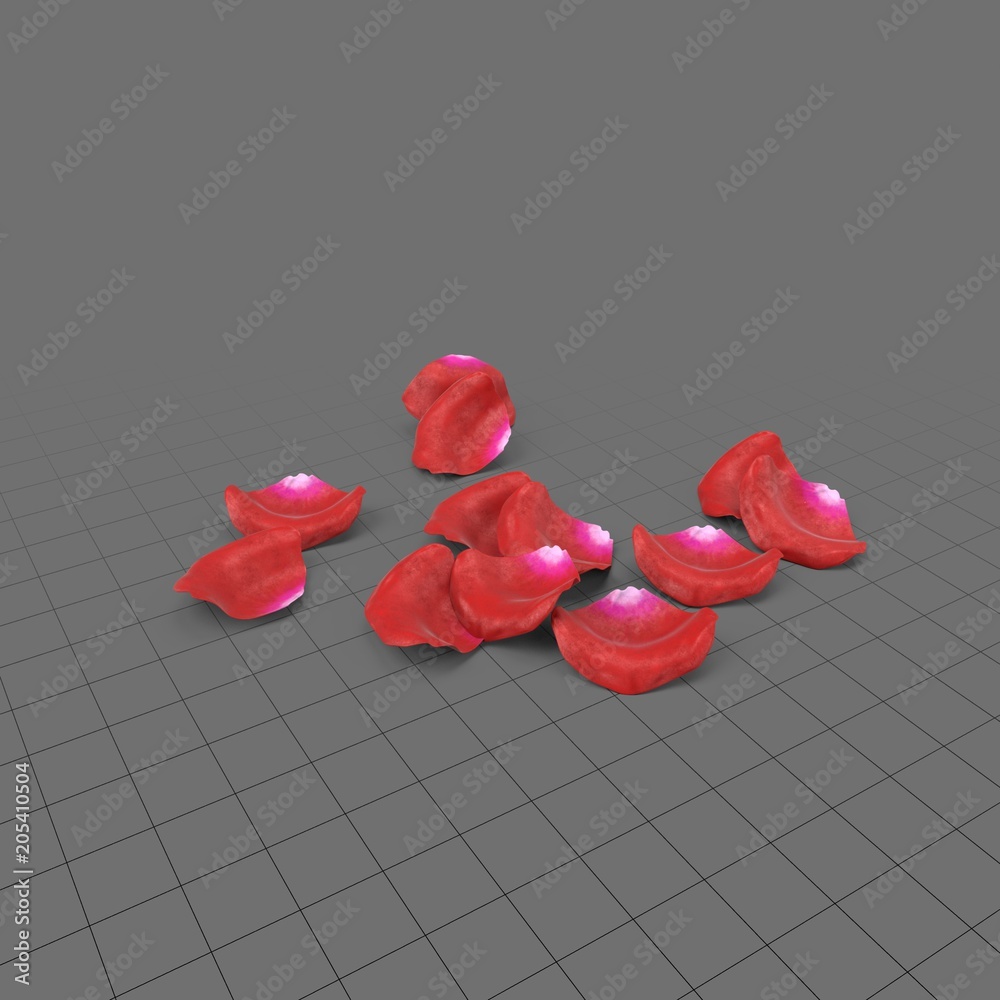Flower petals Stock 3D asset | Adobe Stock