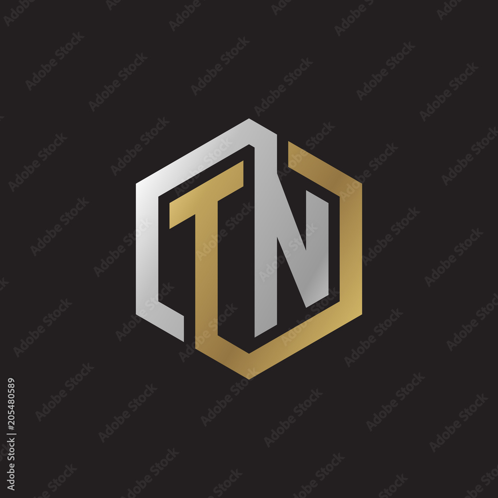 Initial letter TN, looping line, hexagon shape logo, silver gold color ...