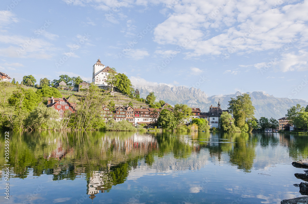 Werdenberg, Buchs, Stadt, Altstadt, Schloss, See, Weinberg, Seeufer ...