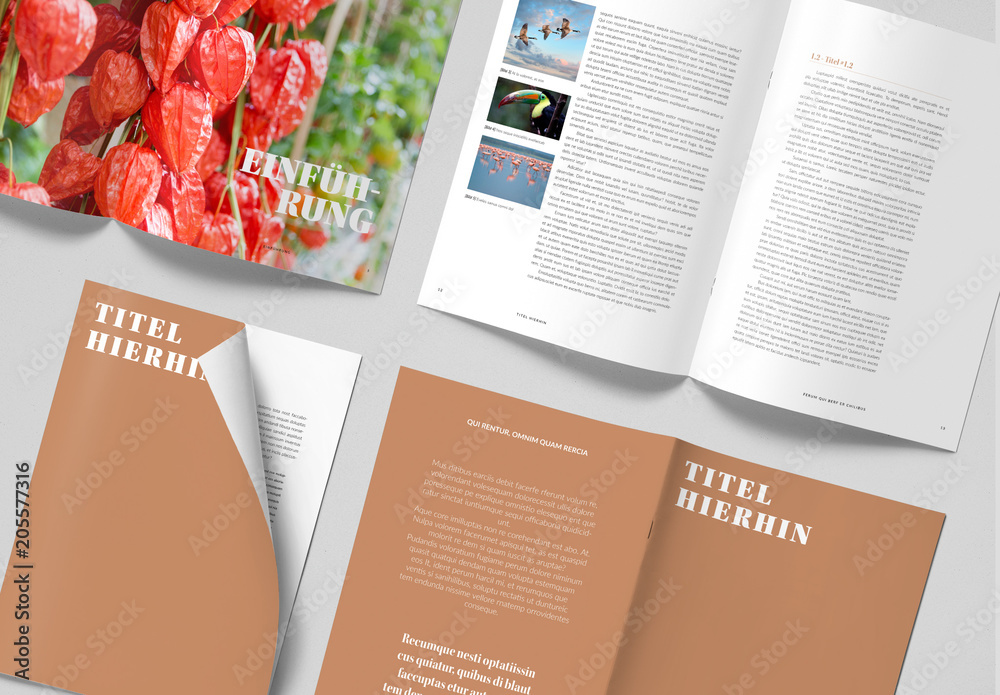 Einfaches Zeitschriften-Layout Stock Template | Adobe Stock