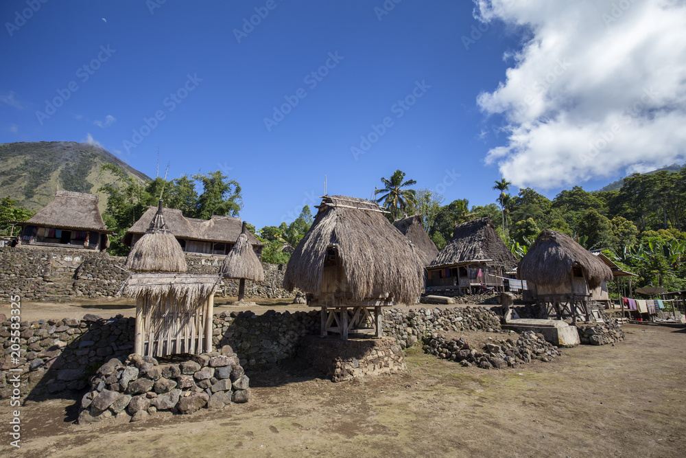 Nghadu and Bhaga ancestral shrines in the Luba Traditional village in ...