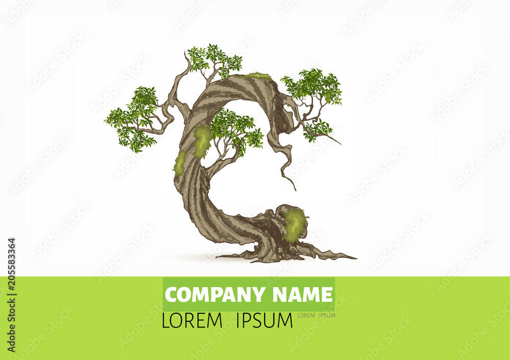 Tree font.Twisted tree in the shape of letter.Letter A B C vector ...