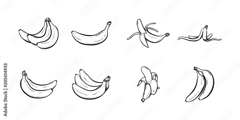 Set of banana hand drawn illustration vector sketch collection line art icon Stock Vector ...