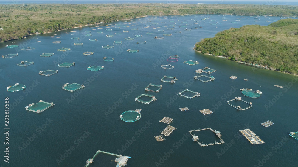 Fish farm with cages for fish and shrimp in the Philippines, Luzon ...