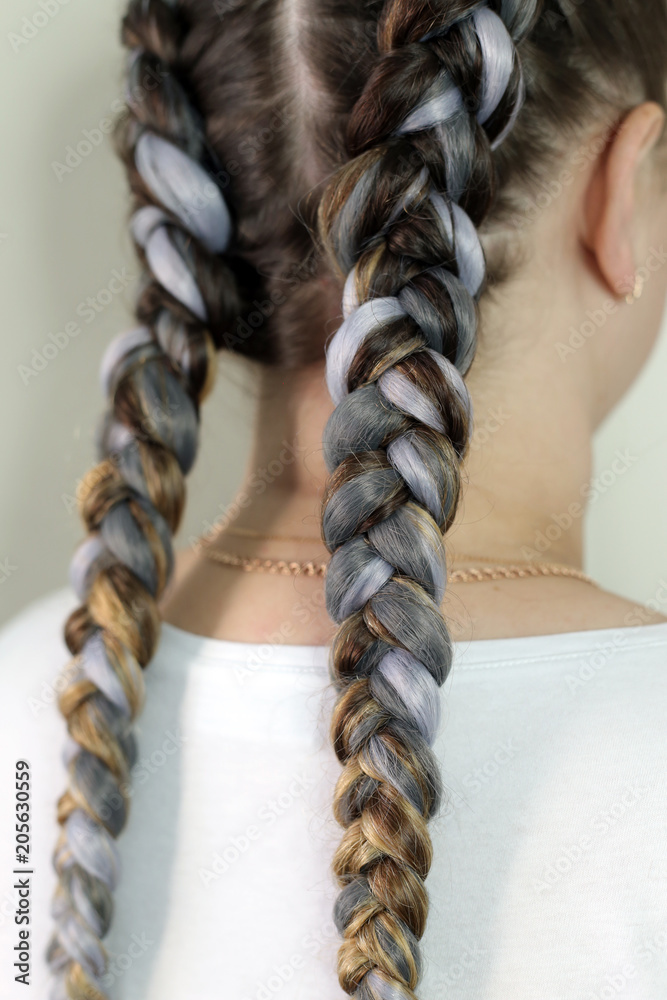 two braids on the head of a girl with a kanekalon, thick braids in her ...