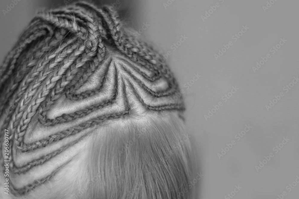 texture of hair thin and thick pigtails, masters braid hair in tight ...