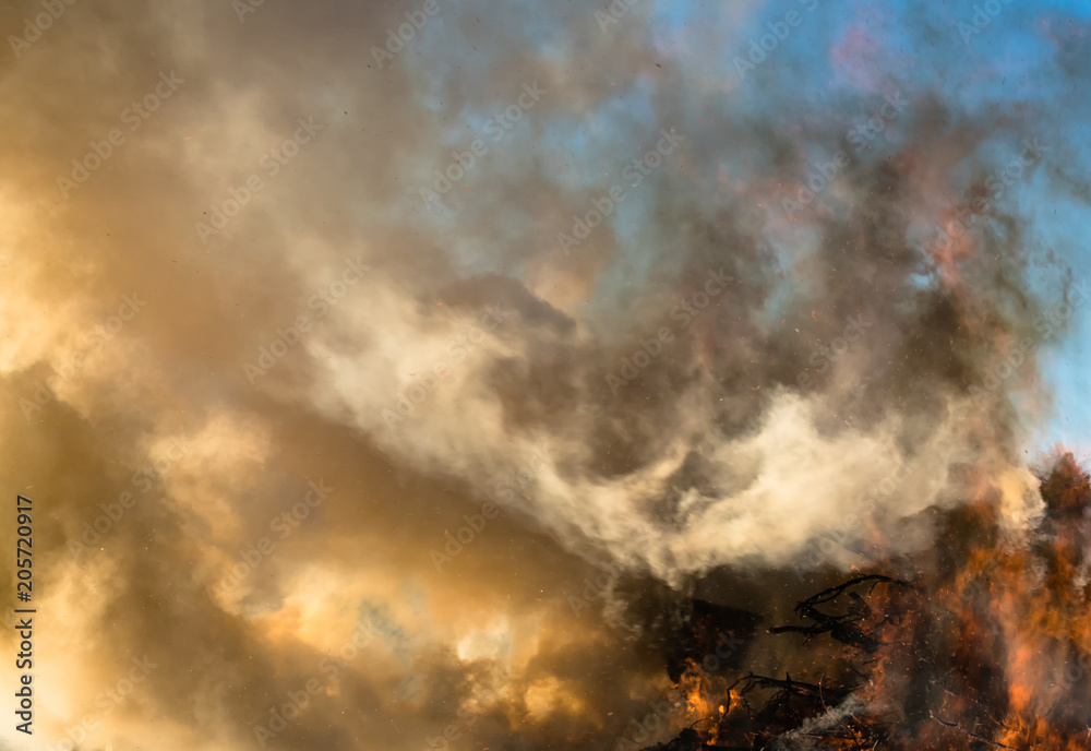 Photo of thick brown yellow smoke and fire from burning branches of ...