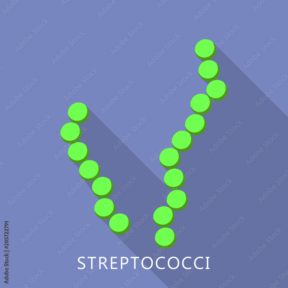 Streptococci icon. Flat illustration of streptococci vector icon for ...