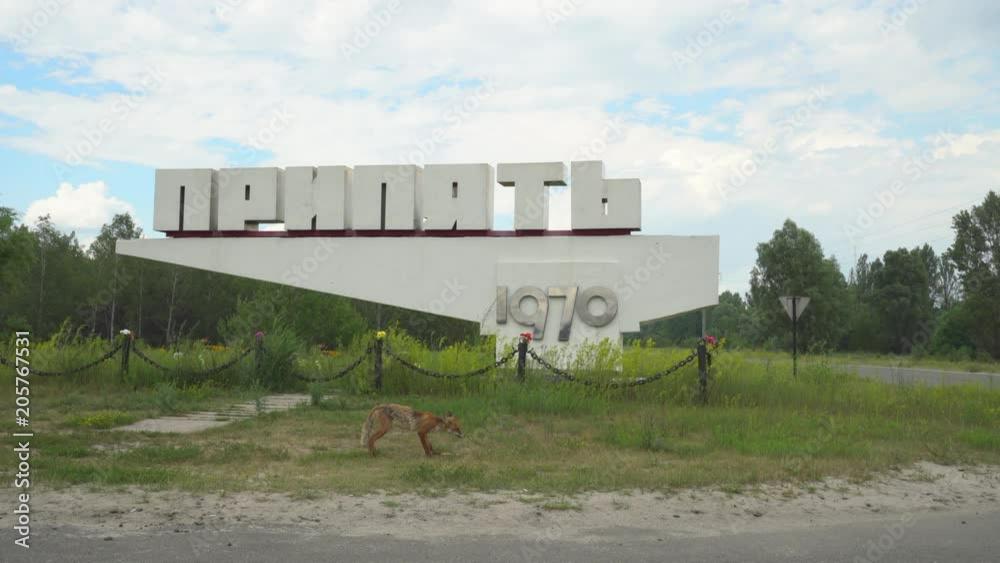 Pripyat city sign with a fox. Chernobyl nuclear disaster, catastrophe ...