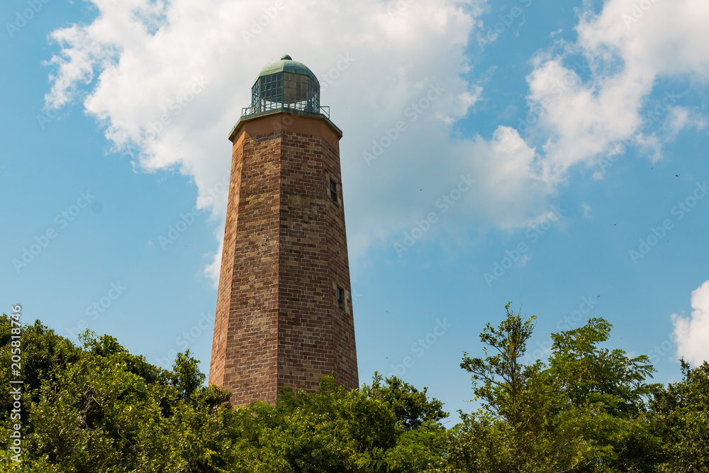 The Old Cape Henry Lighthouse, towers over surrounding trees with a ...