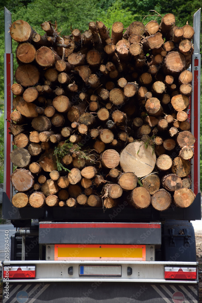 Foto Stock إزالة الغابات Disboscamento Wylesianie Entwaldung ...