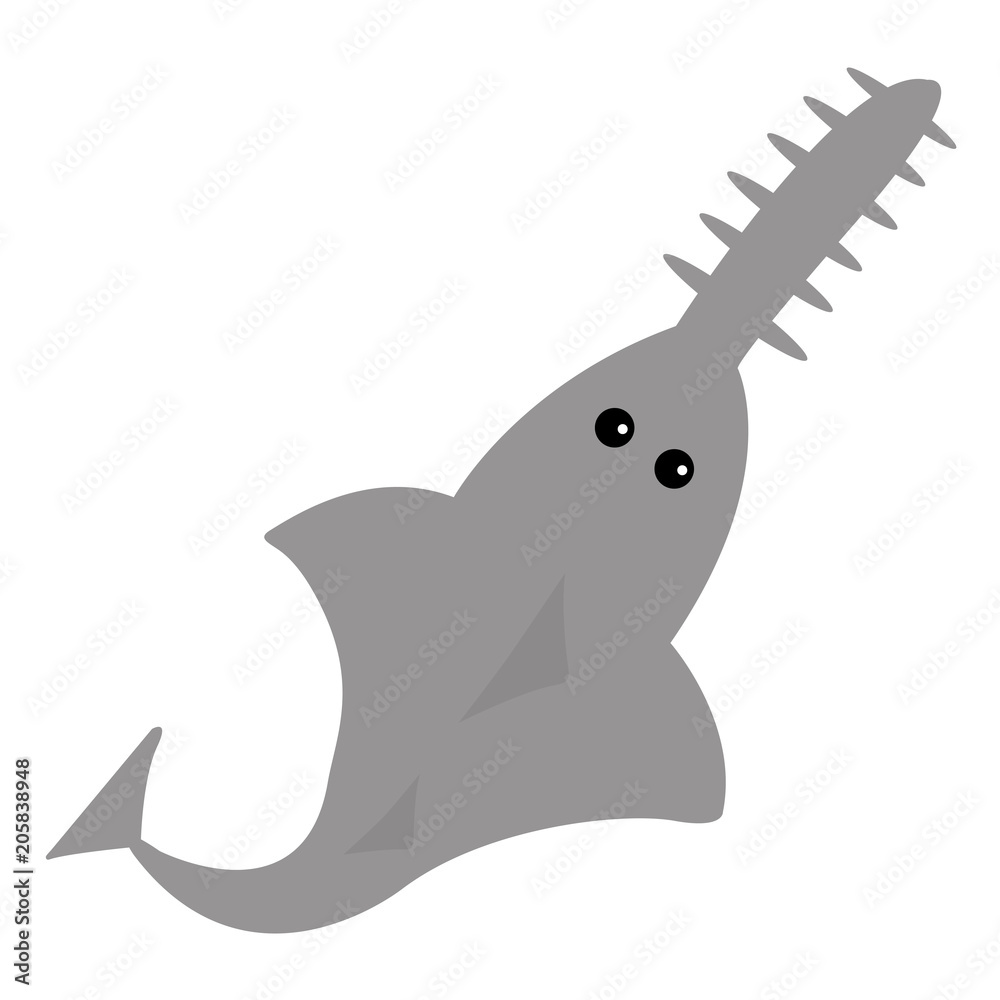 Baby Sawfish