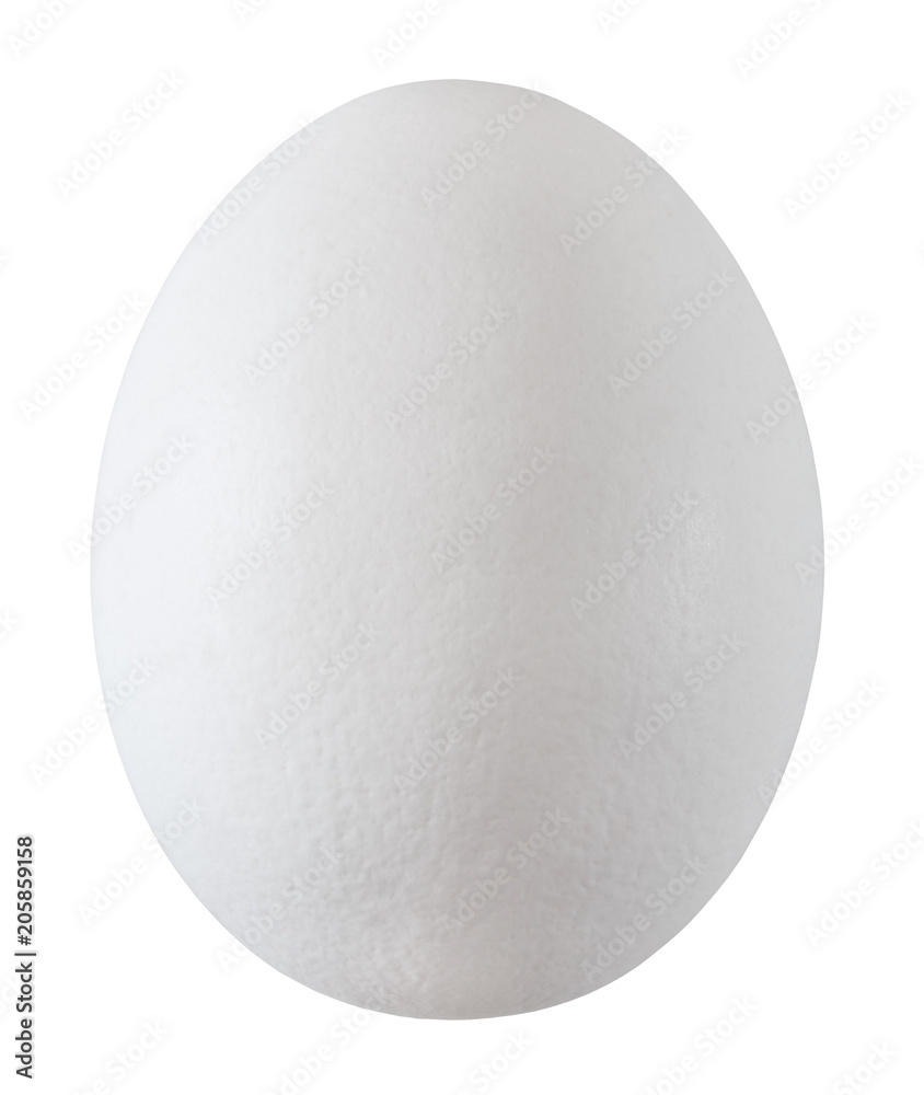 egg white one whole isolated on white background with clipping path ...