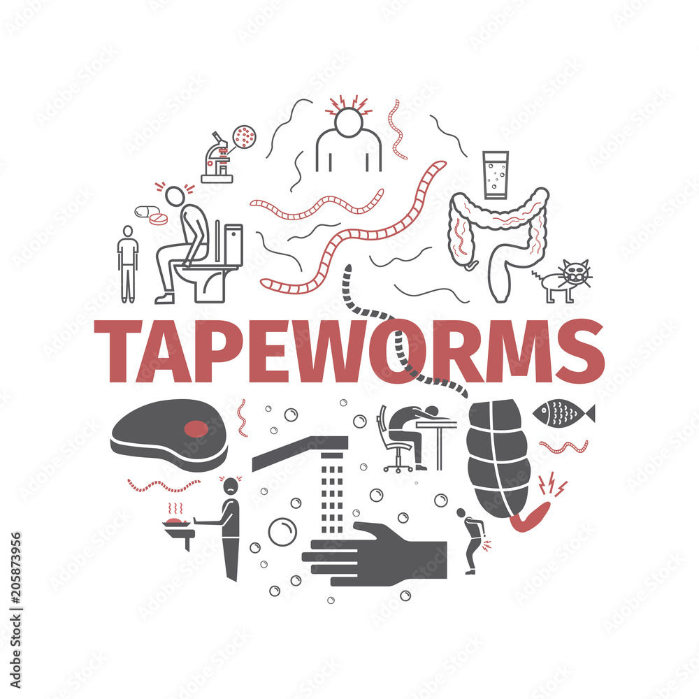 Tapeworms. Symptoms, Treatment. Line icons set. Vector signs for web ...