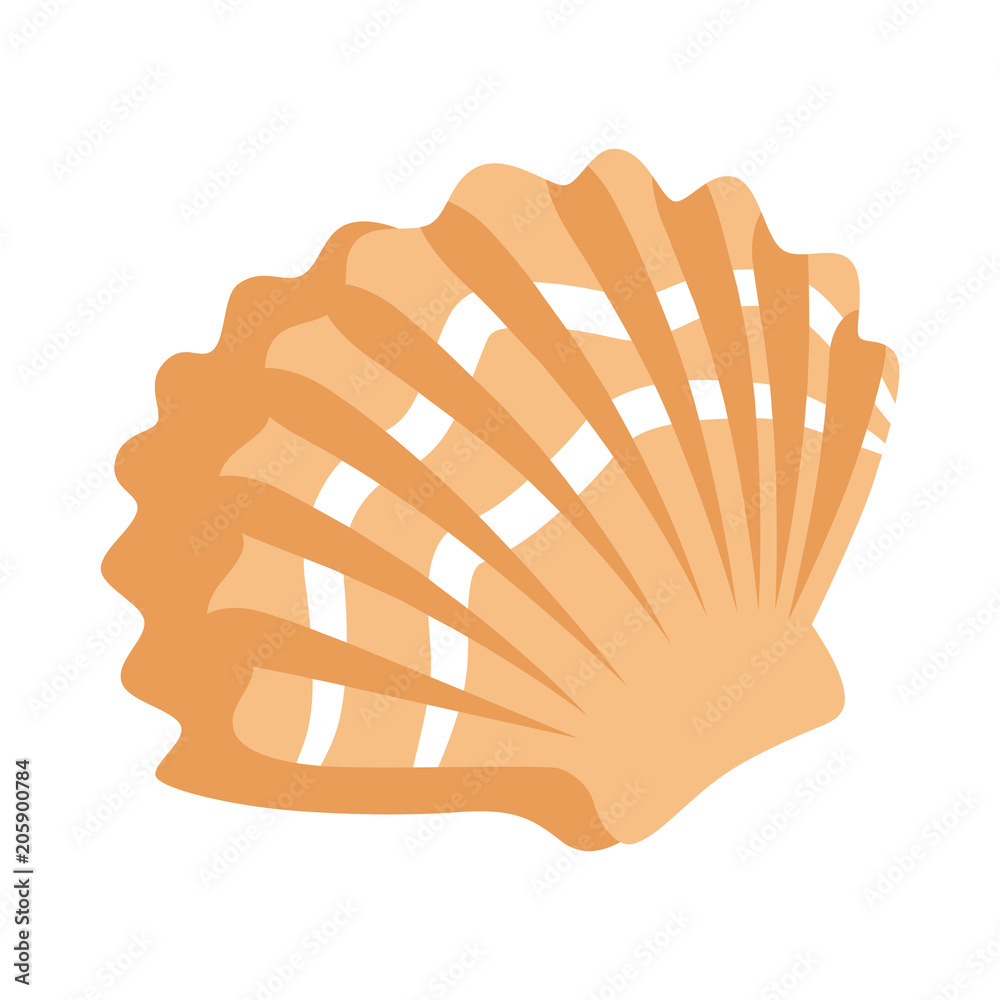 Scallop Clipart