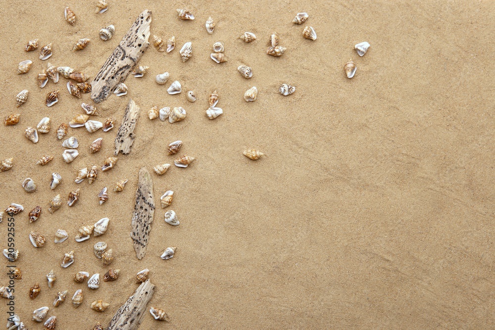 Beach sand with tiny sea shells and driftwood background. Mini small ...