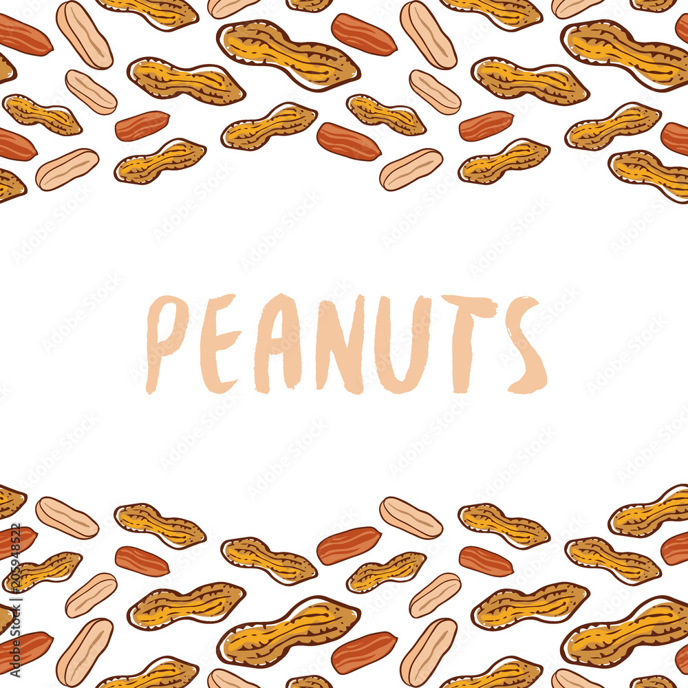 Peanuts background. Nuts hand drawn vector illustration. Packaging ...