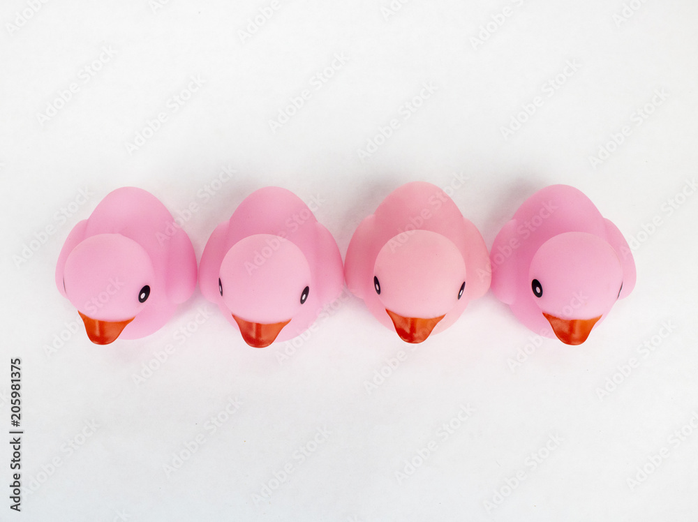 Four pink rubber ducks as viewed from above on an isolated white ...