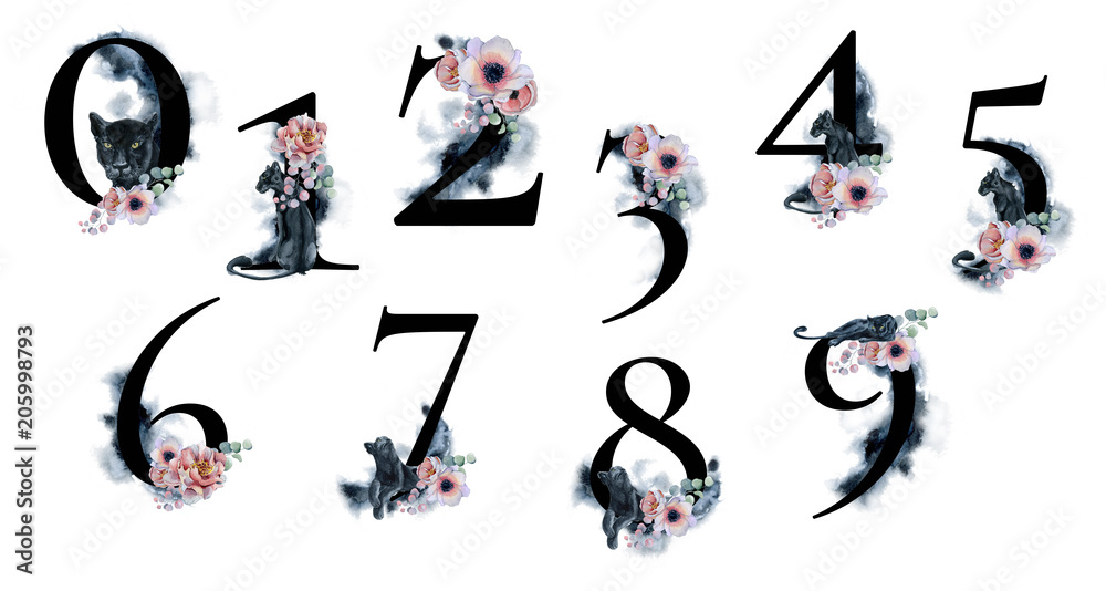 Watercolor numbers with splashes backgrounds flowers and black panthers ...