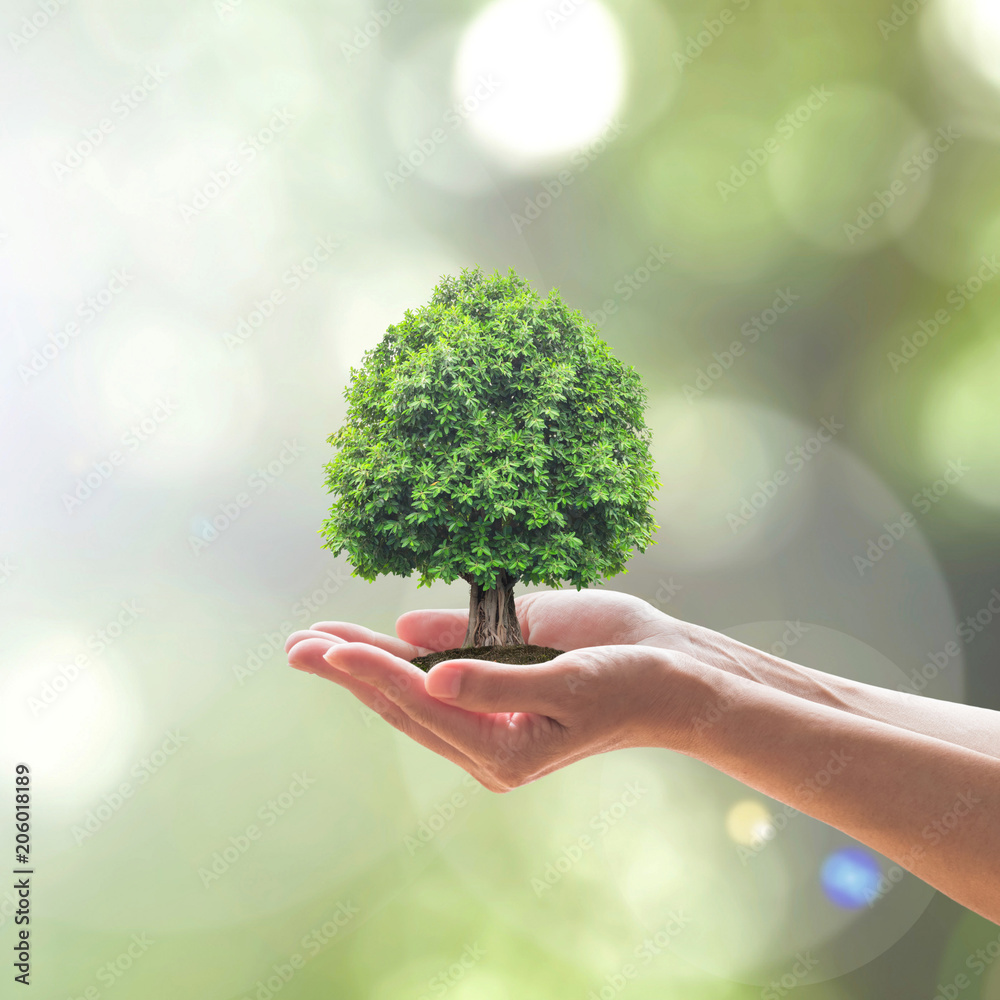 Sustainable environment, saving environmental ecosystem of forest, and ...