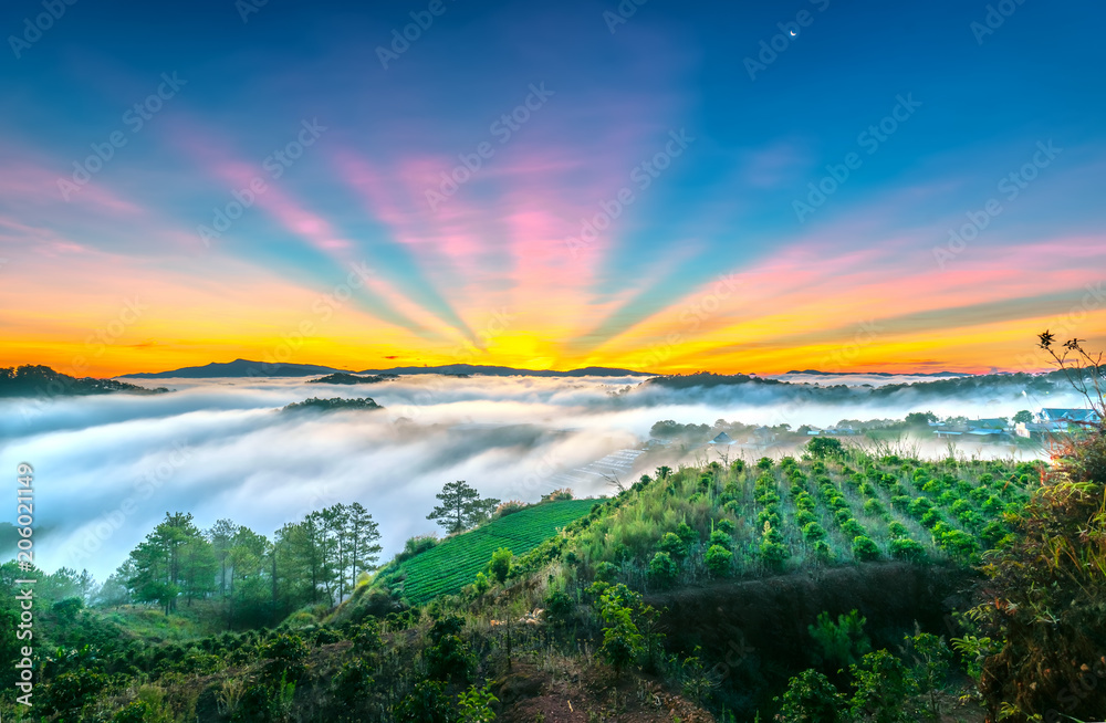 Forest Sunshine Through Clouds