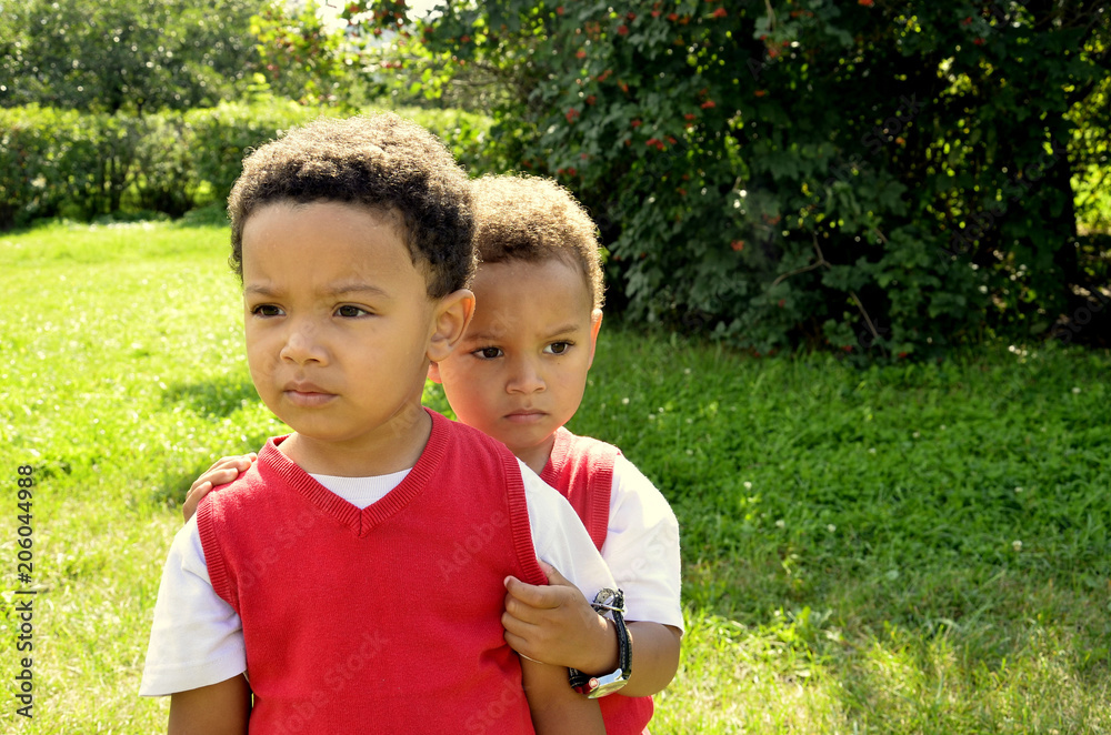 Cute mixed twins brothers hugging each other in the park. Beatiful ...