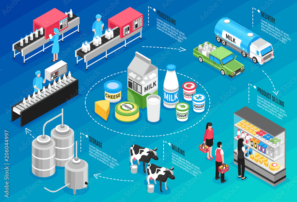 Milk Production Infographics Stock Vector | Adobe Stock