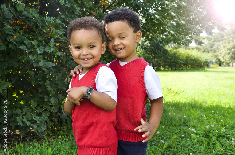 Cute mixed twins brothers hugging each other in the park. Beatiful ...