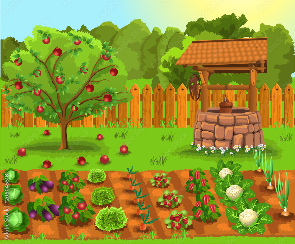 Vector Illustration Of Garden With Apple Tree Old Well And Vegetables
