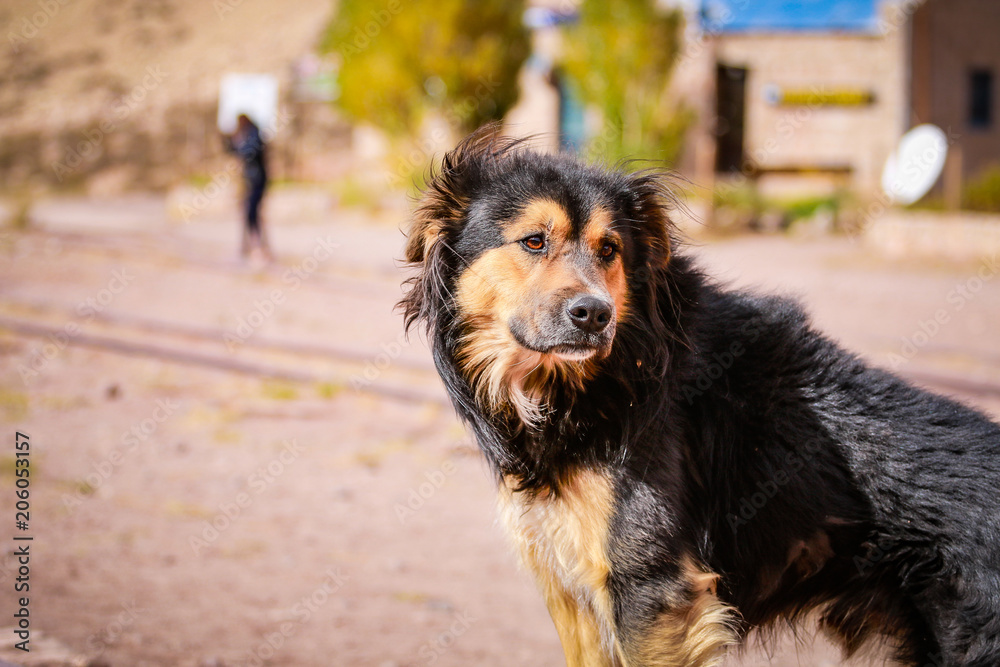 Puente del Inca Cordillera de los Andes Stock Photo | Adobe Stock