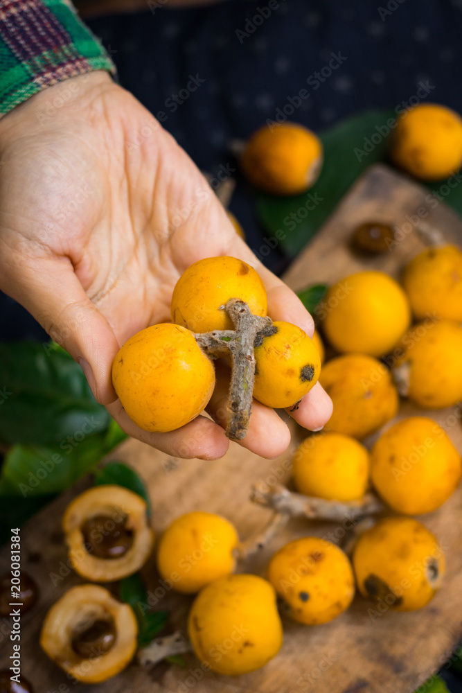 Woman hands holds mushmula or loquat fruit. Breakfast and desserts ...