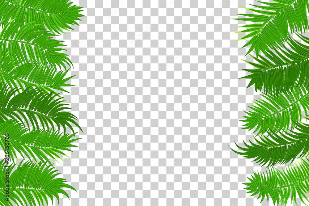 Jungle Border Clipart
