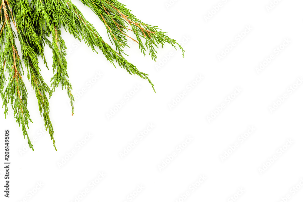 Frame or background with juniper for image editing, image design ...