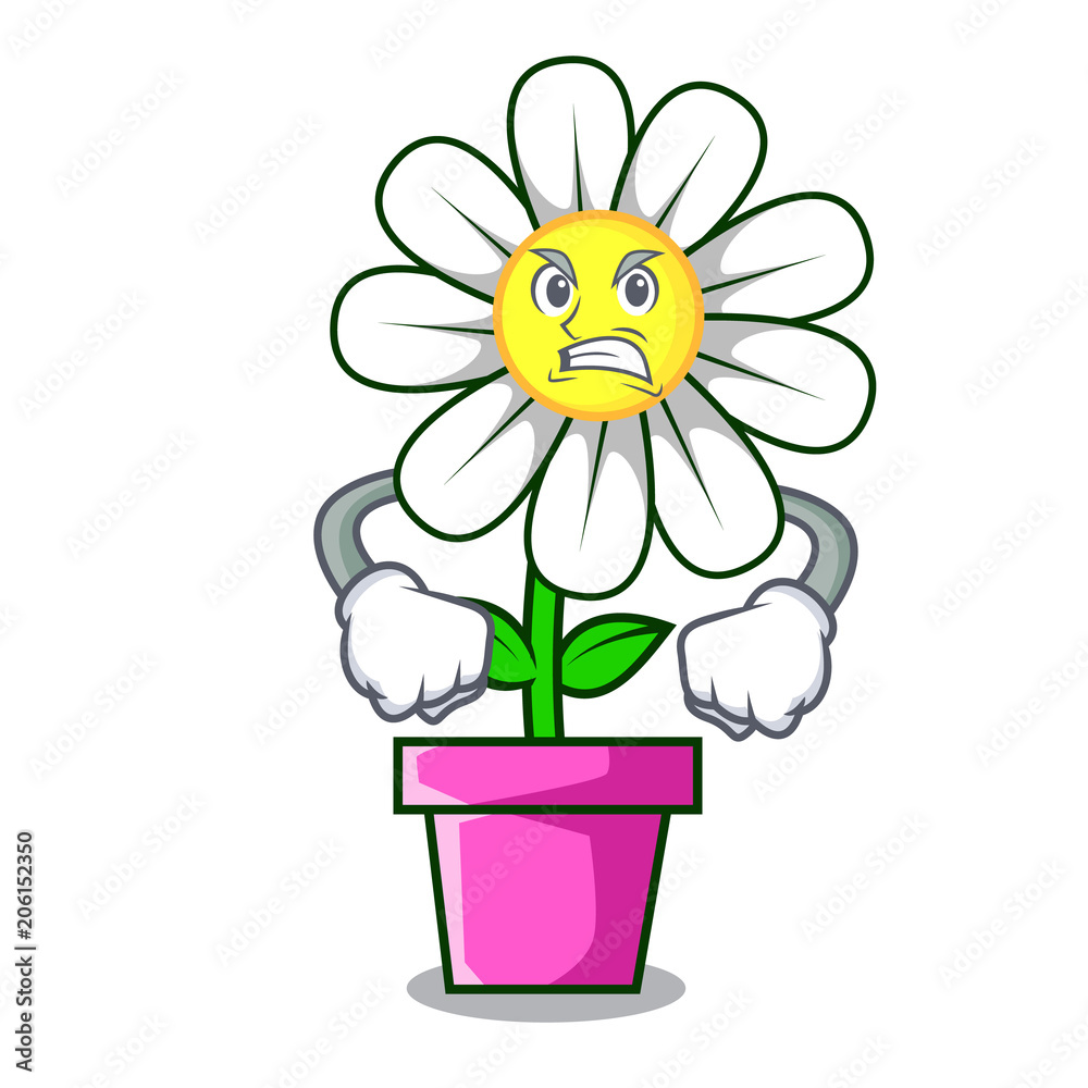 Angry daisy flower mascot cartoon Stock Vector | Adobe Stock