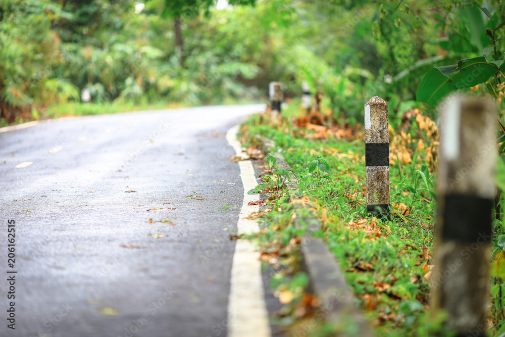Roads with no traffic jam with green nature two ways. A place to rest ...