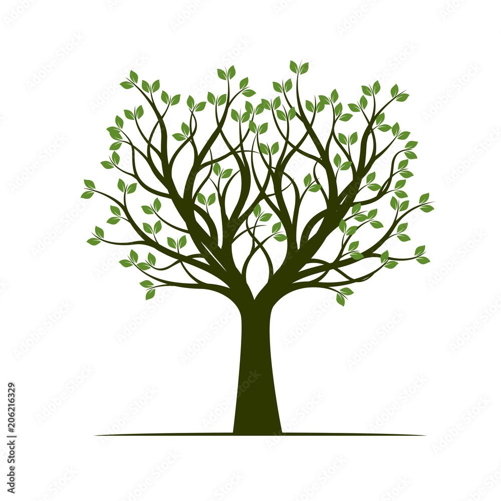 Green Spring Tree. Vector Illustration. Stock Vector | Adobe Stock