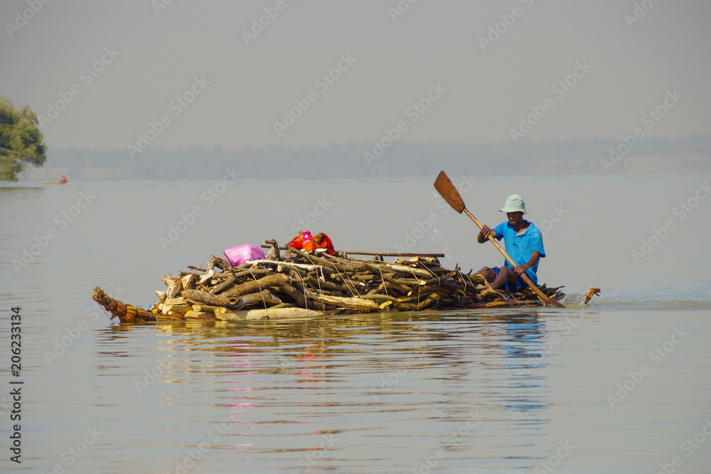Lake Tana, Amhara Region, Ethiopia - Jan 03, 2014: Man transport logs ...