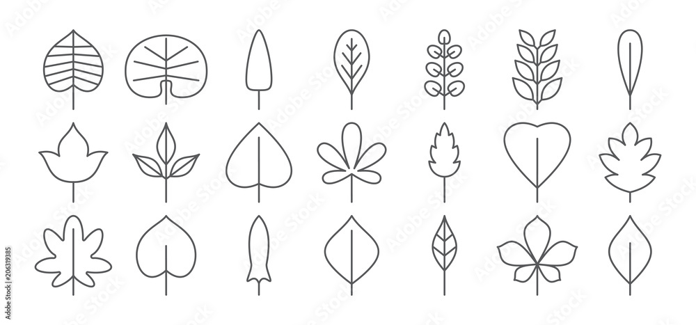 Leaf line icon. Foliage thin simple outline. Contour vector collection ...