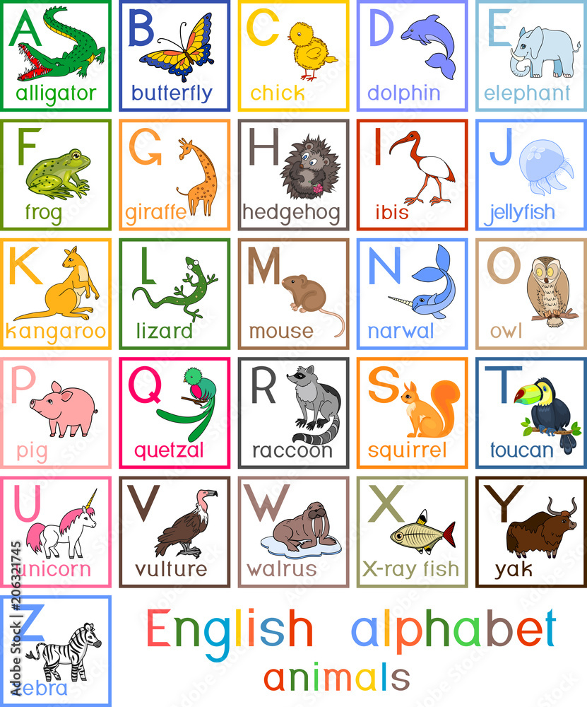 Colorful english alphabet with pictures of different cartoon animals ...