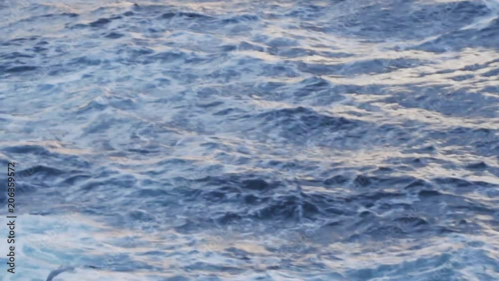 Seagull flying over blue water background. Stock. Seagull flies over ...