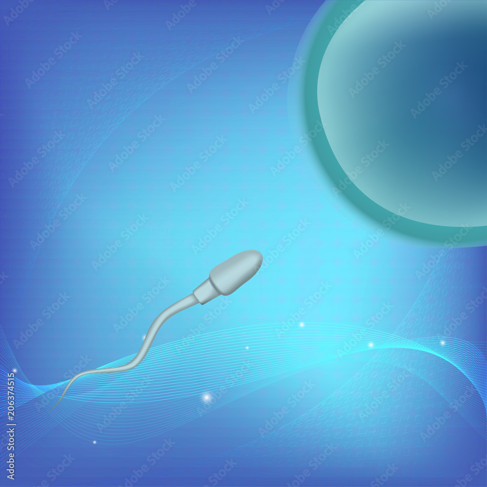 Spermatozoon sperm and ovum egg. In vitro fertilization IVF. Artificial ...