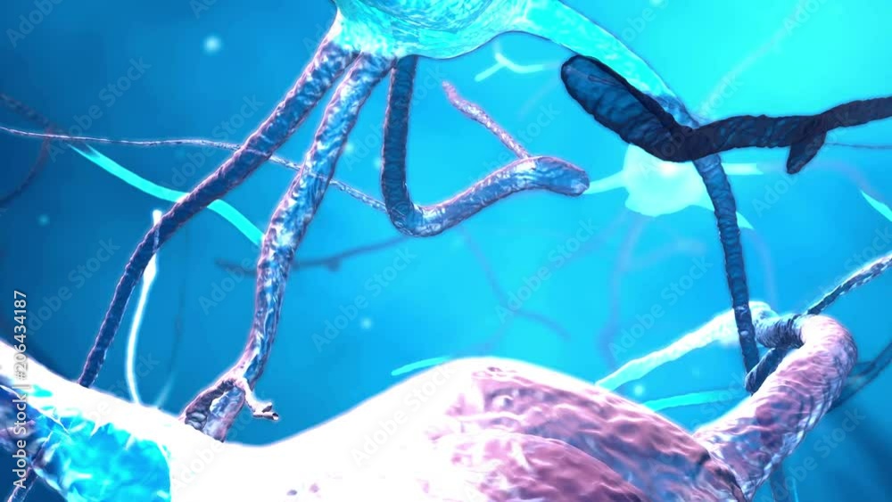 Neuron connections in the brain Stock-Video | Adobe Stock