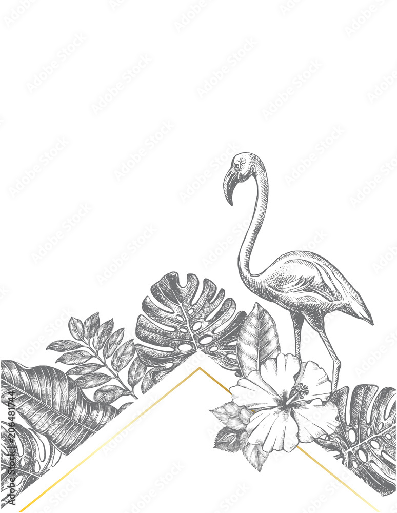 Background with Ink hand drawn hibiscus flower, flamingo bird and ...