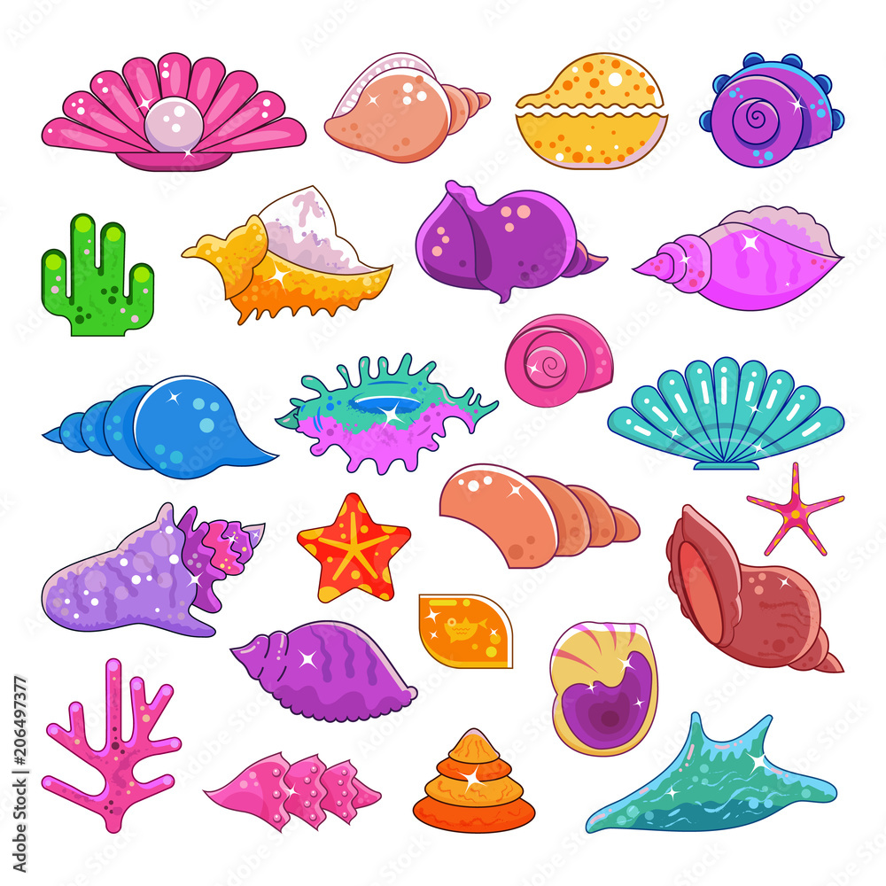 Seashell Illustration Vector