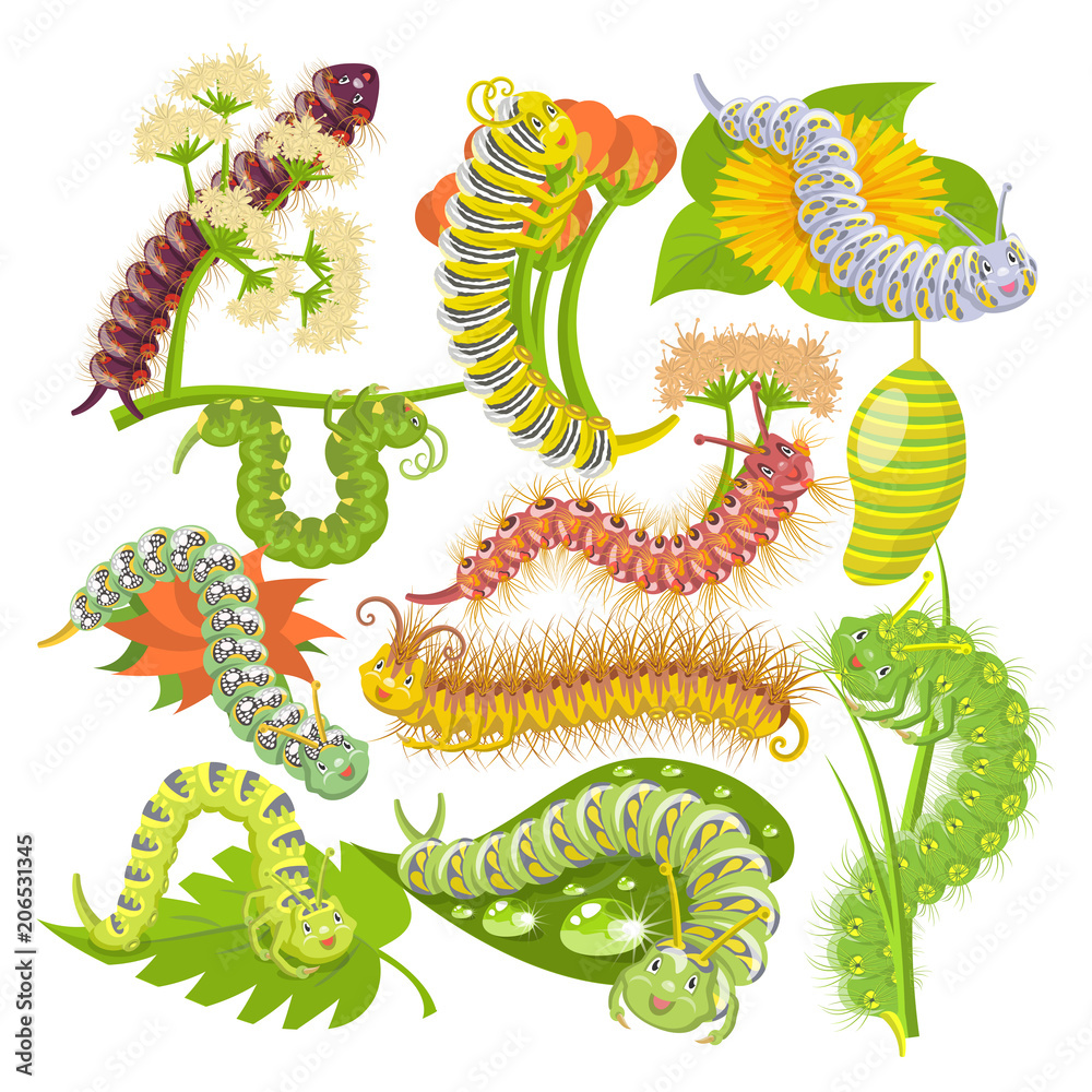 Caterpillar vector leafworm or green larva and leafy worms in nature ...