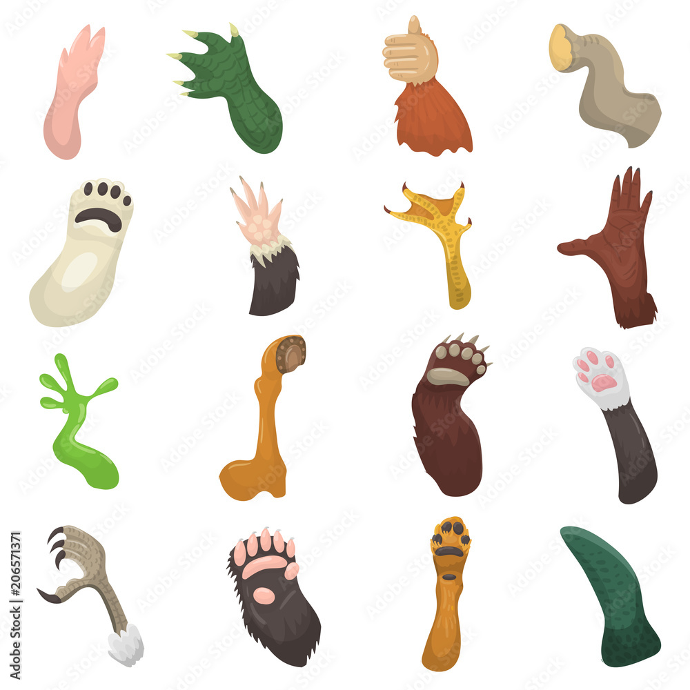 Animal paw vector animalistic pets claw or hand of cat or dog and bears ...