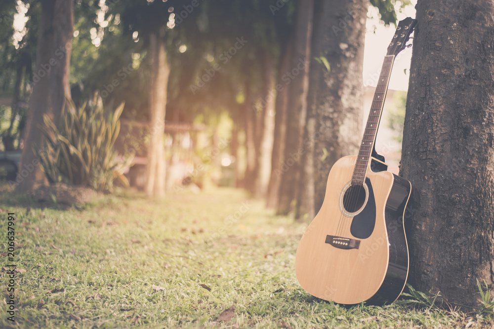 classical guitar propped against a tree trunk in the background grass ...