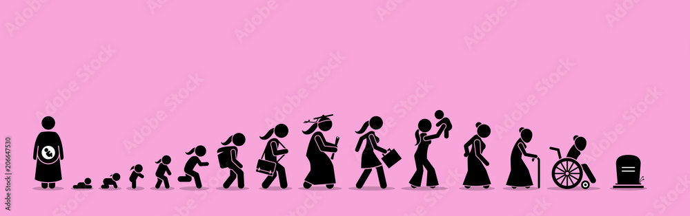 Female life cycle and aging process. Girl or woman growing up from baby ...