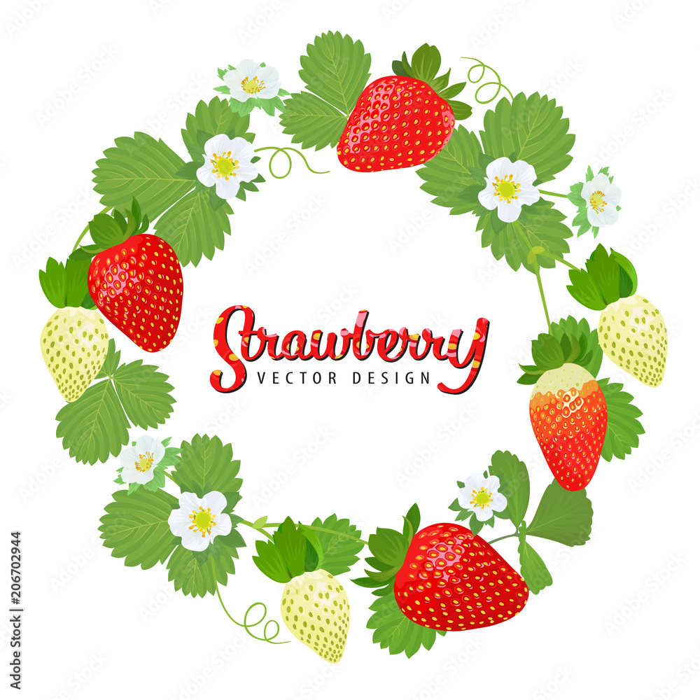 Strawberries plant wreath with leaves, stems and flowers on white ...